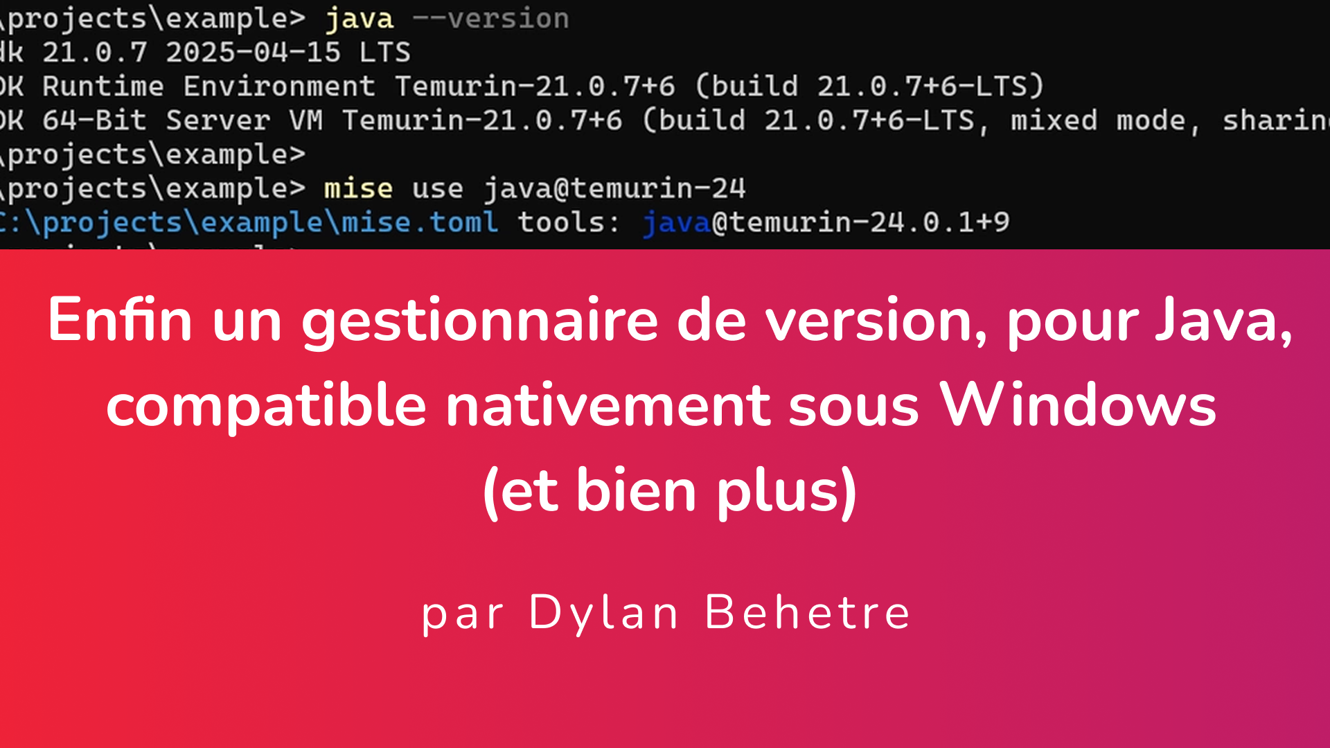 Enfin un gestionnaire de version, pour Java, compatible nativement sous Windows (et bien plus ...